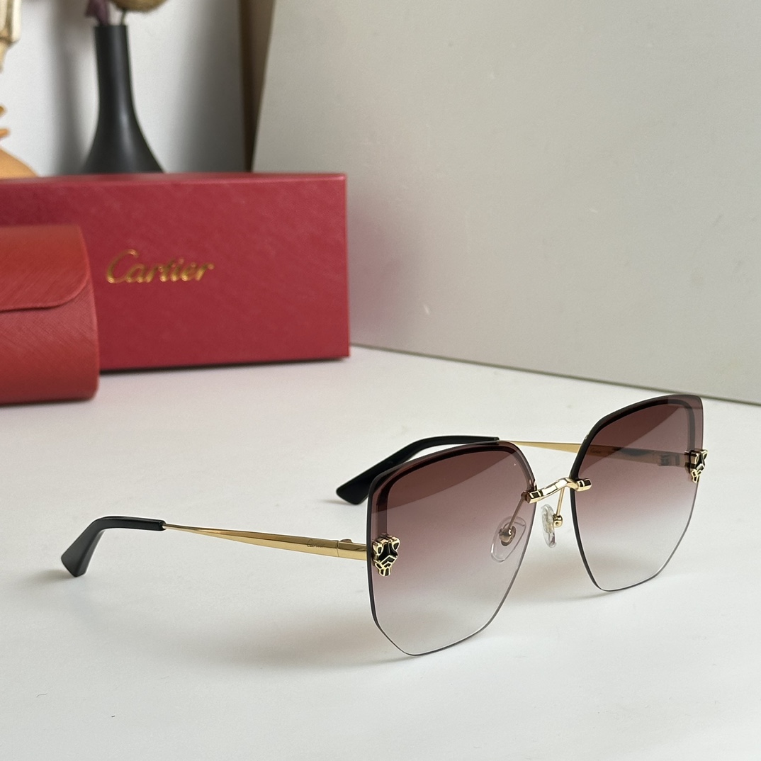 Cartier sunglasses - 我的网站